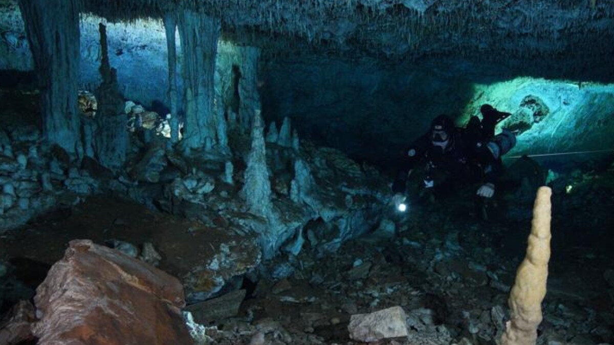 Mysterious Microbial Communities Found In Mexican Underwater Caves ...
