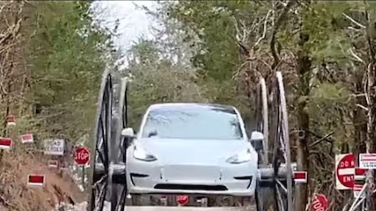 It's Not Everyday You See Man Driving Tesla On Buggy Wheels | Viral ...