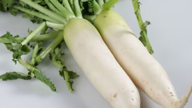 Side Effects Of Radish You Must Know | Lifestyle News - News18