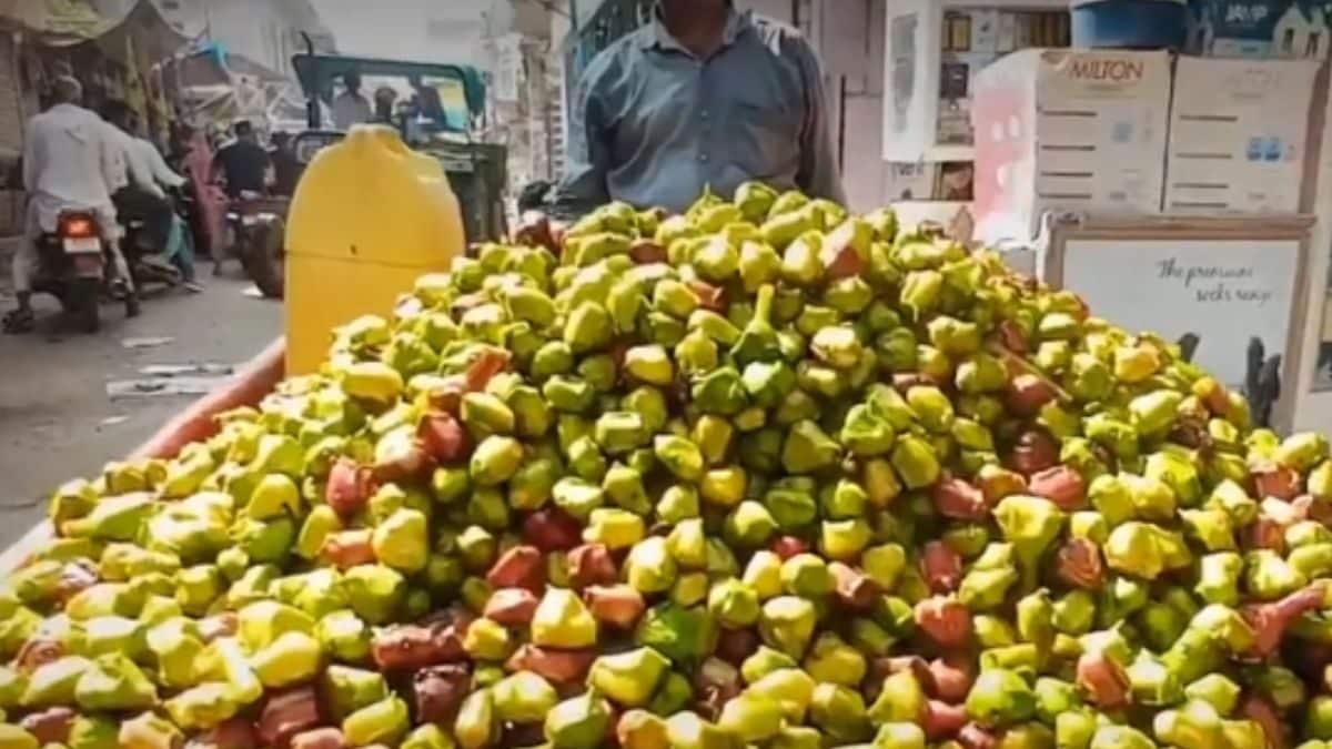 How This Fruit Brings Prosperity To The Farmers Of Rajasthan's ...
