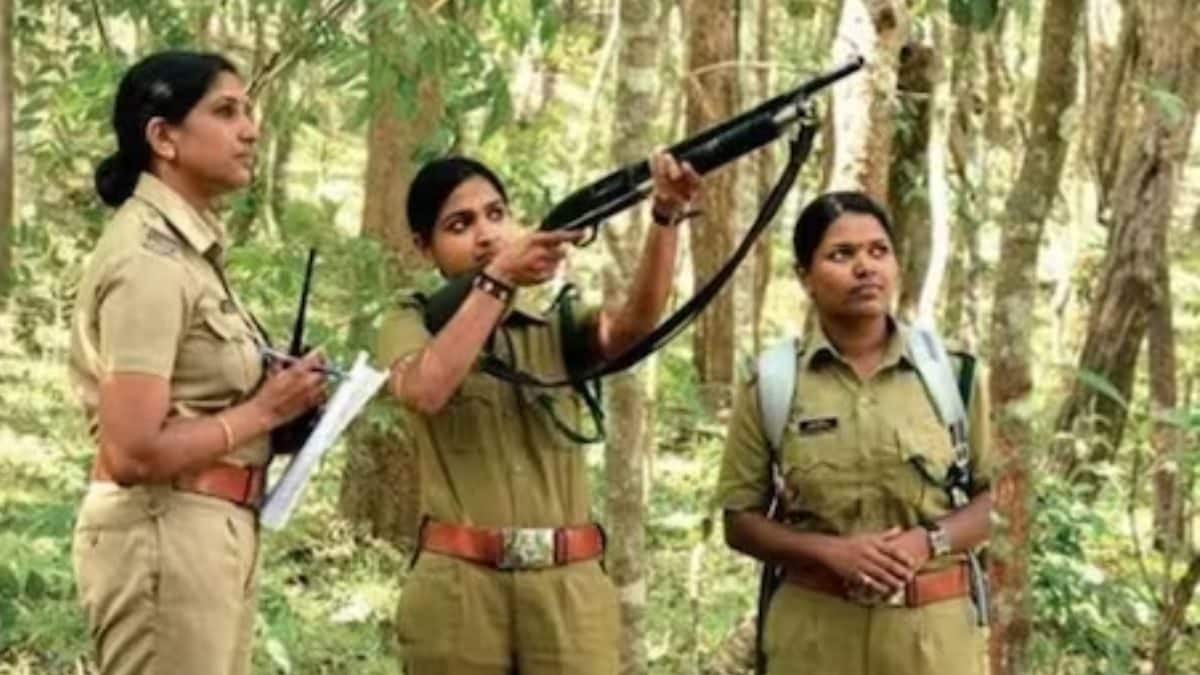 Forest Guard To Zoo Curator, 5 Career Options If You Love Wildlife And ...