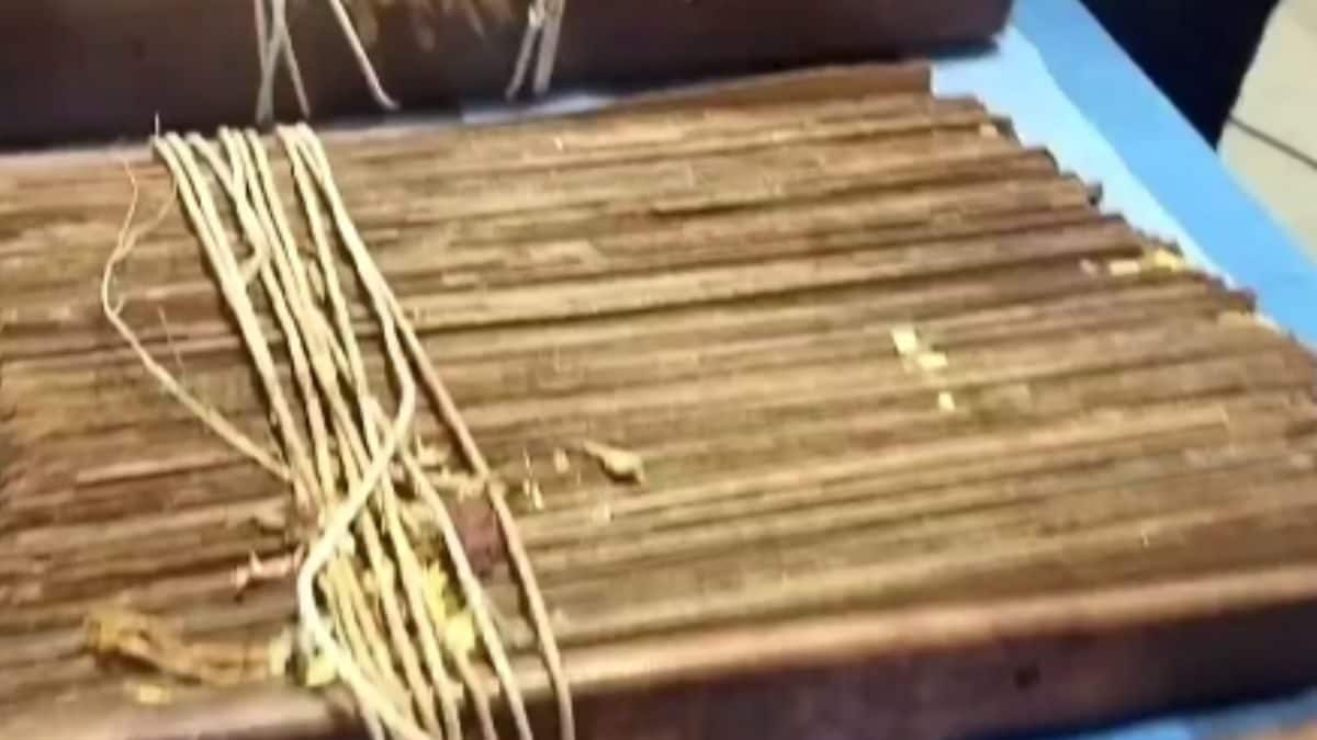 What The International Workshop On Tamil Manuscript In Chennai Was All ...