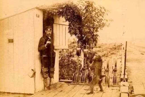 How An African Railway Signalman Trained A Baboon To Work As His ...