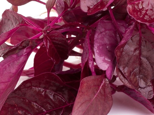 Fighting Cholesterol To Decreasing Glucose Absorption, Benefits Of Red ...