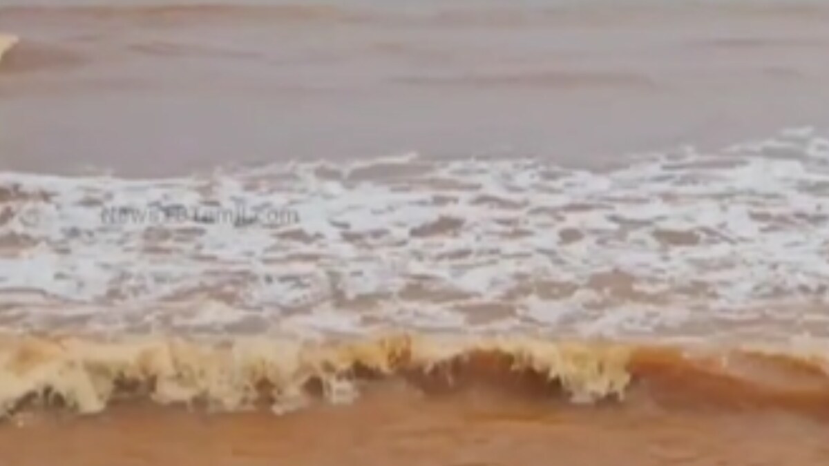 Puducherry Sea Water Turns Red For 3rd Time In A Month - News18