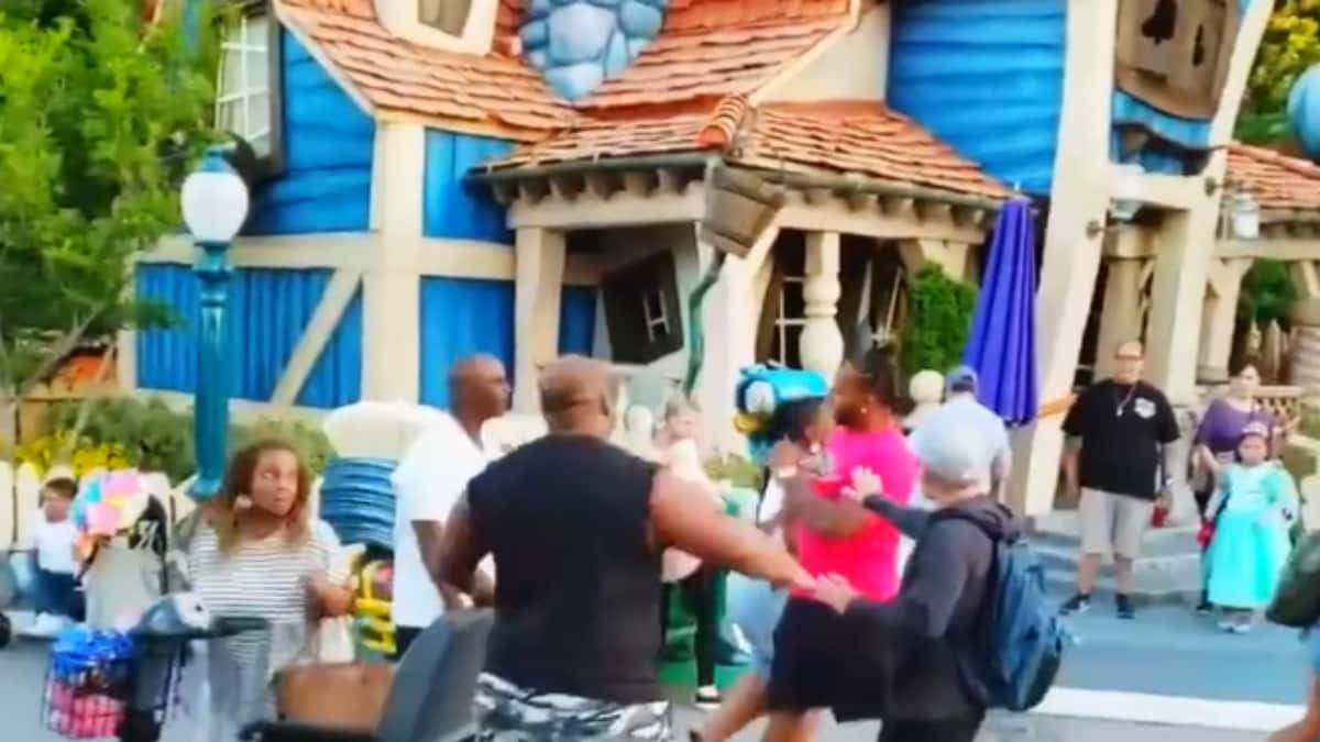 WWE-Like Brawl Disrupts Disneyland's Vibrant Atmosphere: Family Spit ...