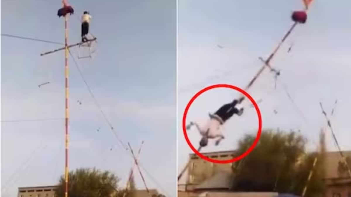 Watch: Chilean Trapeze Artist Falls On The Ground Mid-performance ...