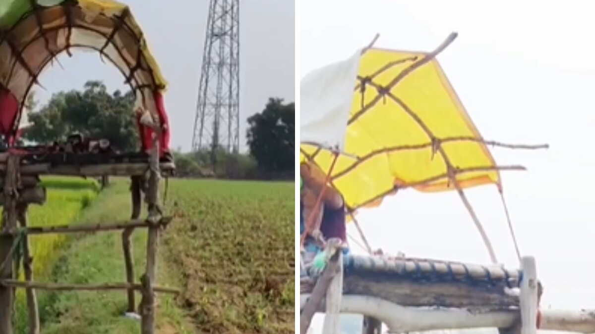 Andhra Farmers' Unique Solution To Protect Crops From Stray Animals ...