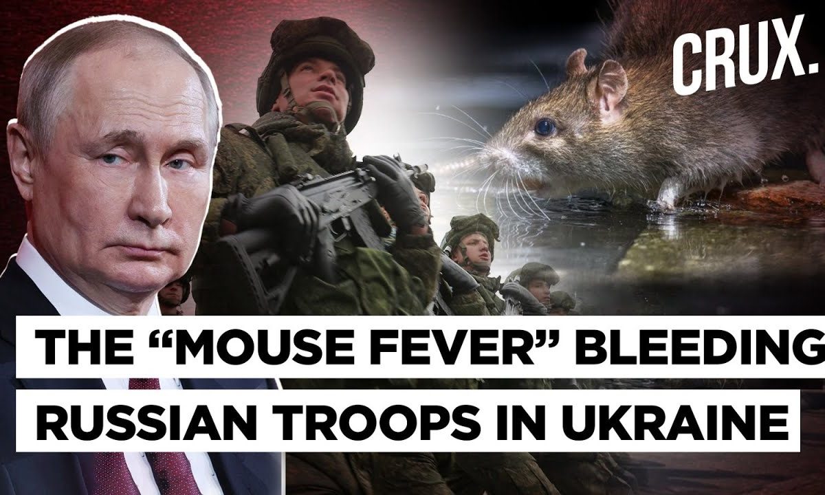 Russian Soldiers’ Eyes Bleed As “Mouse Fever” Wreaks Havoc, But Putin ...