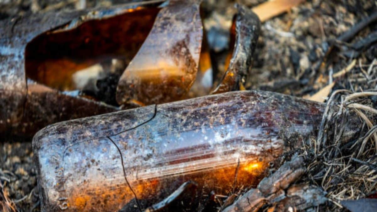 Navi Mumbai: Girl Suffers Critical Injuries After Beggar Smashes Beer ...