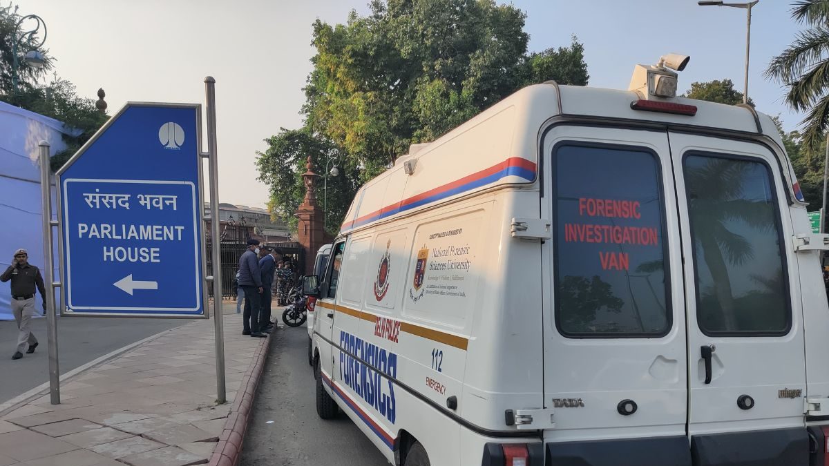 Parl Intruder an E-Rickshaw Driver in Lucknow, Woman Protester Was ...