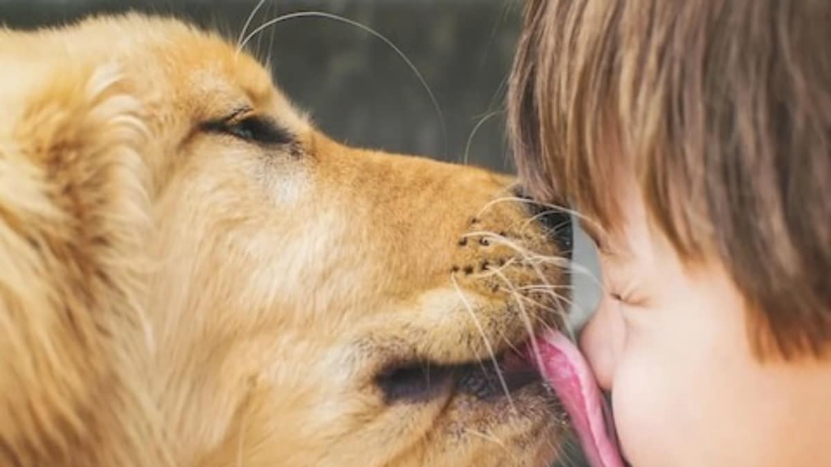 Does Your Pet Lick You? Dog Saliva Under Microscope Shows Worms Lurking ...