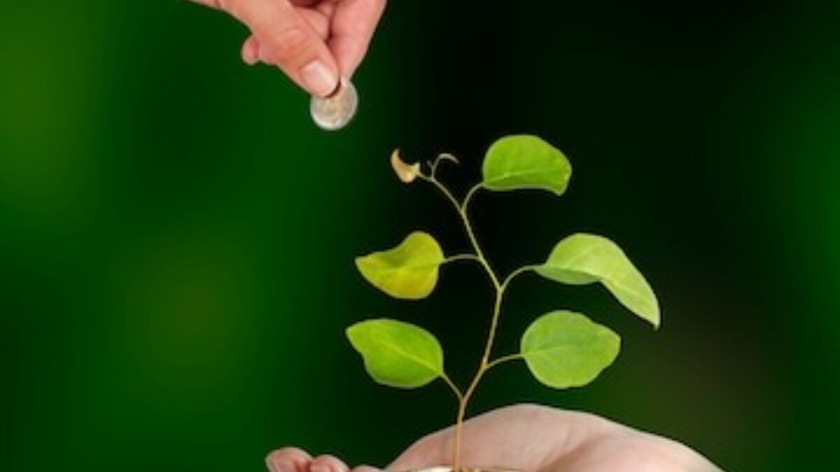Investment Tips For Homemakers Heres How To Build A Retirement Corpus