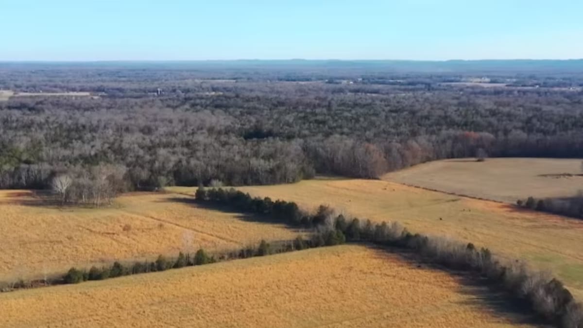 Watch: Actor Nepolean Takes Fans On A Tour Of His 300-Acre US Farm ...