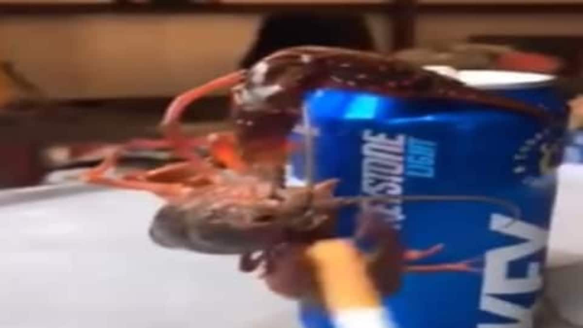 Watch: Crab Sipping Beer And Smoking Cigarette Is New Year's Mood | Viral News - News18
