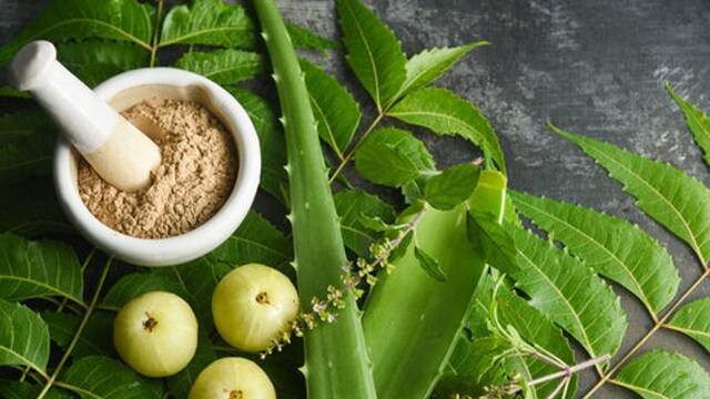 Detox Naturally: 5 Ayurvedic Herbs to Boost Your Health | Lifestyle ...