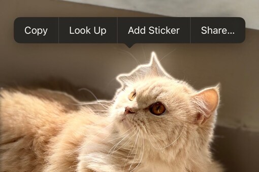 iPhone Trick: How To Remove Image Background And Isolate Subject In ...