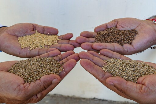 Focus is on Helping Marginal and Women Farmers Through Sustainable ...