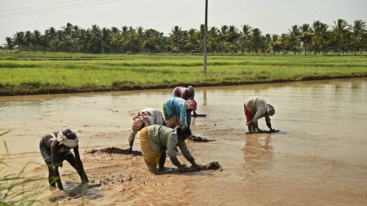 Tamil Nadu Sees Highest MGNREGS Work Demand This Monsoon; K'taka ...