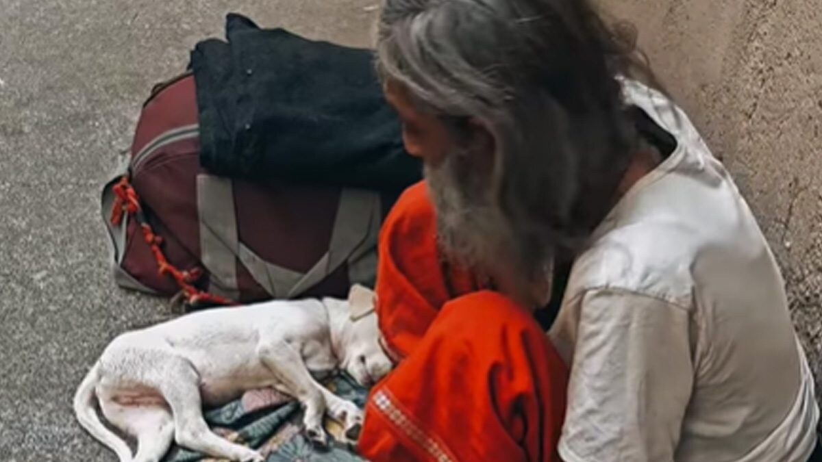 Viral: Internet Praises Poor Man For Prioritising Dog's Need Over His ...