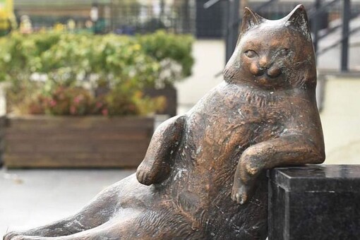 Istanbul Honours Beloved Stray Cat With A Statue After Death - News18