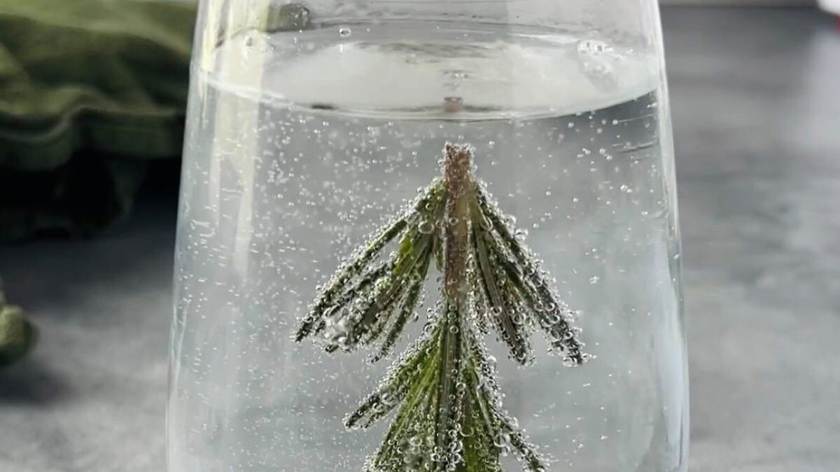 How To Make The Viral Snow Globe Cocktail This Christmas? A Step By ...