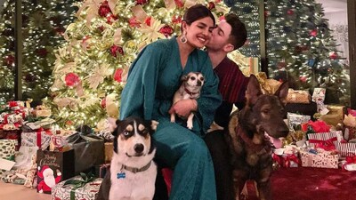 Priyanka Chopra is All Set For Christmas, Shares FIRST Photo From the ...