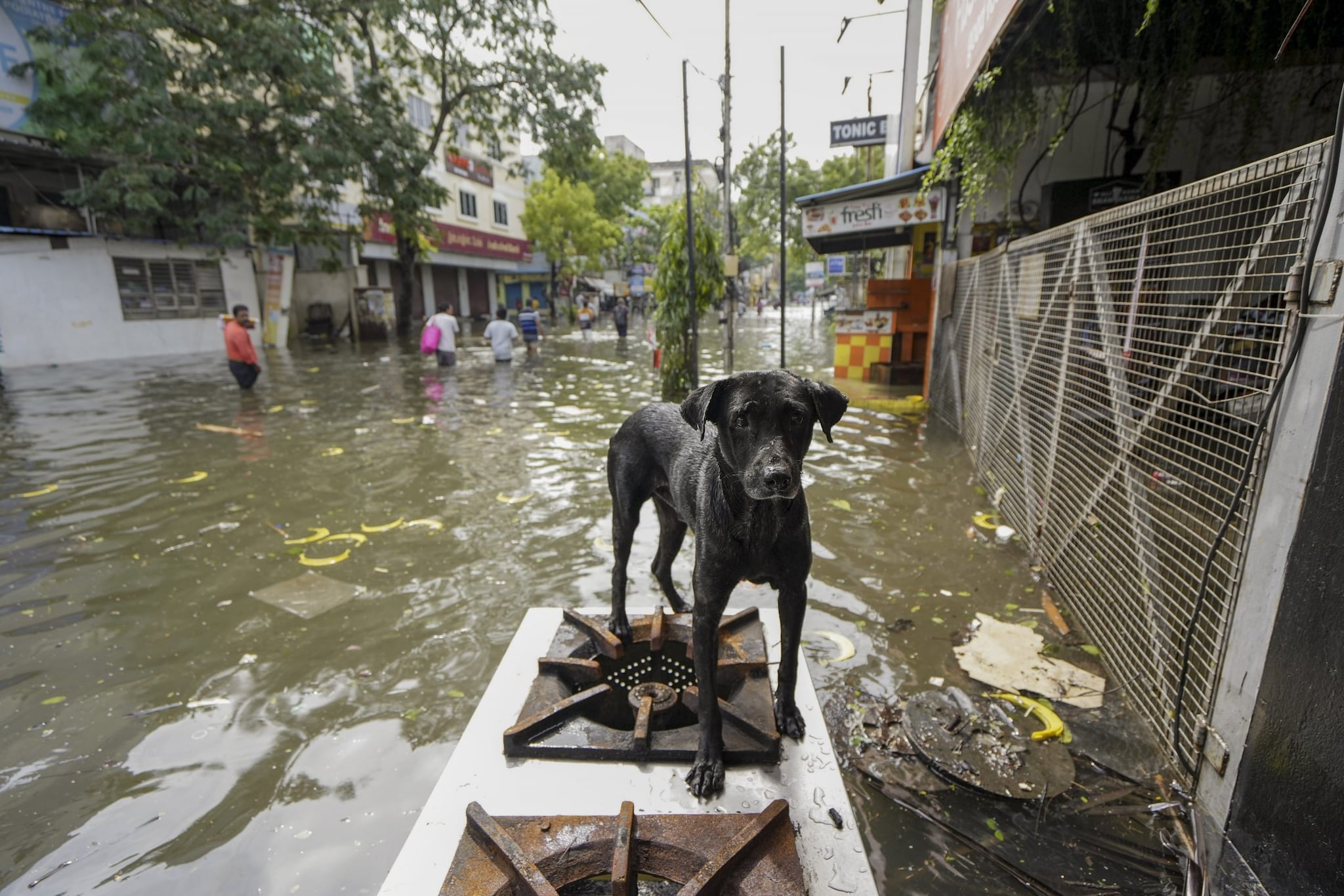 Cyclone Michuang Wreaks Havoc In Southern States | In Pictures