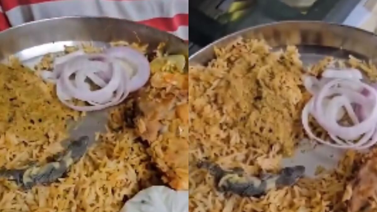 Hyderabad Family Gets Dead Lizard in Chicken Biryani Ordered on Zomato ...