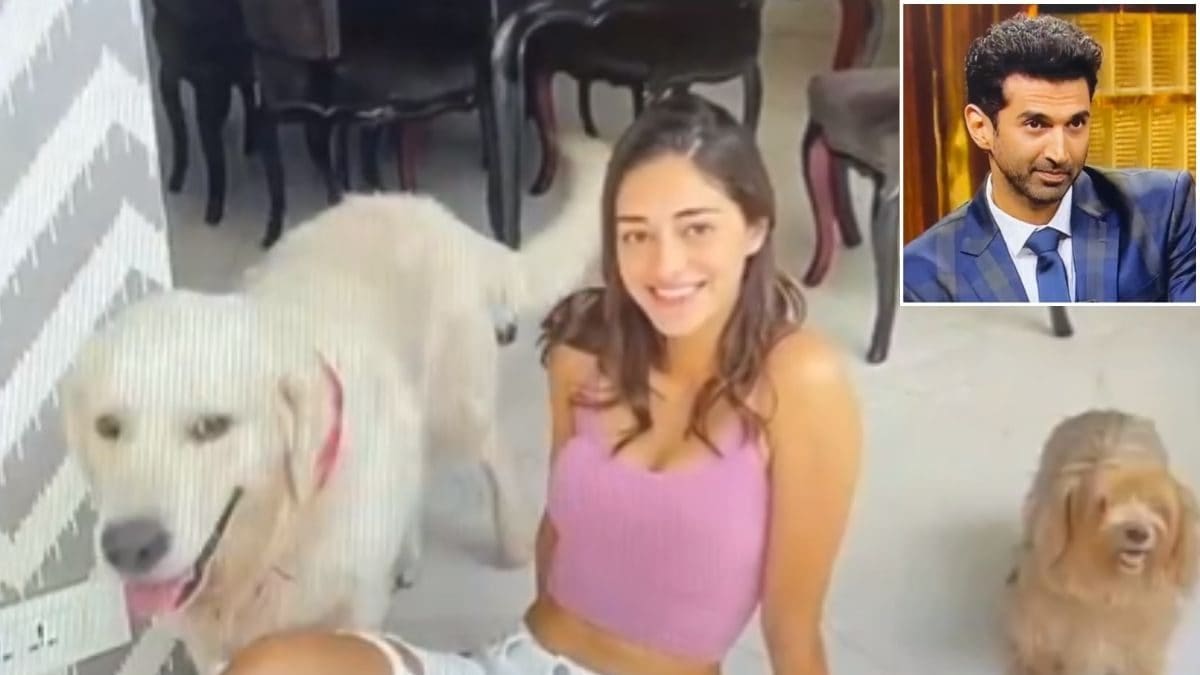 Aditya Roy Kapur Fails to Recognise Ananya Panday's Dogs on 'KWK ...