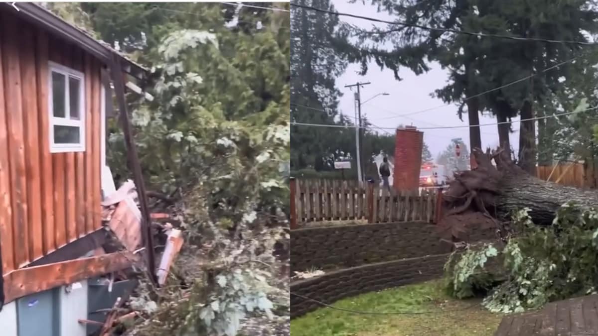 Horrifying: House Collapse Like A Pack Of Cards In US | Viral News - News18