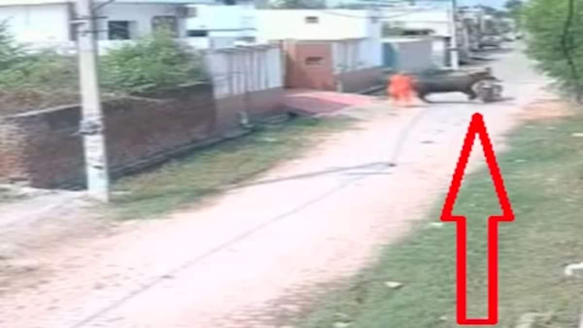 Buffalo Hits Man Riding A Bullet; Horrifying Video Viral | Viral News ...