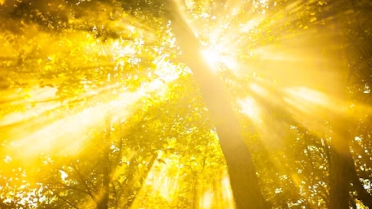 Why The Colour Of Sunlight Is White - News18