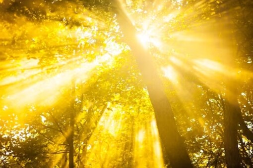 Why The Colour Of Sunlight Is White - News18