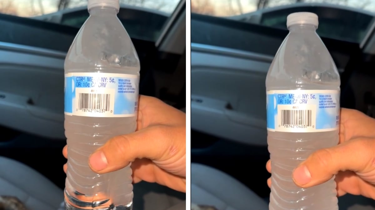 This Instant Water-To-Ice Transformation Video Will Remind You Of Snow ...