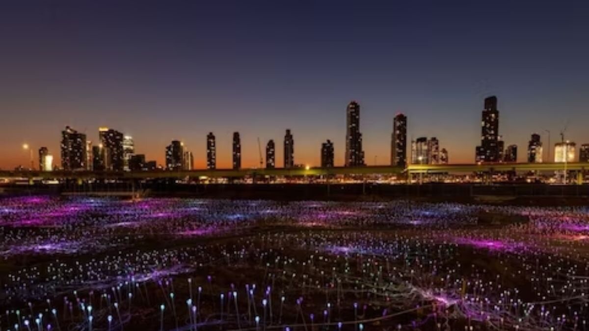 Watch: Breathtaking Field Of Light Art Installation Open To Public In ...