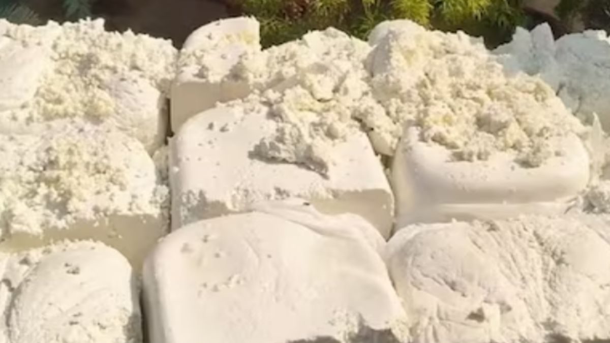 Viral Video Shows Fake Milk Production And How It Harms Our Health ...