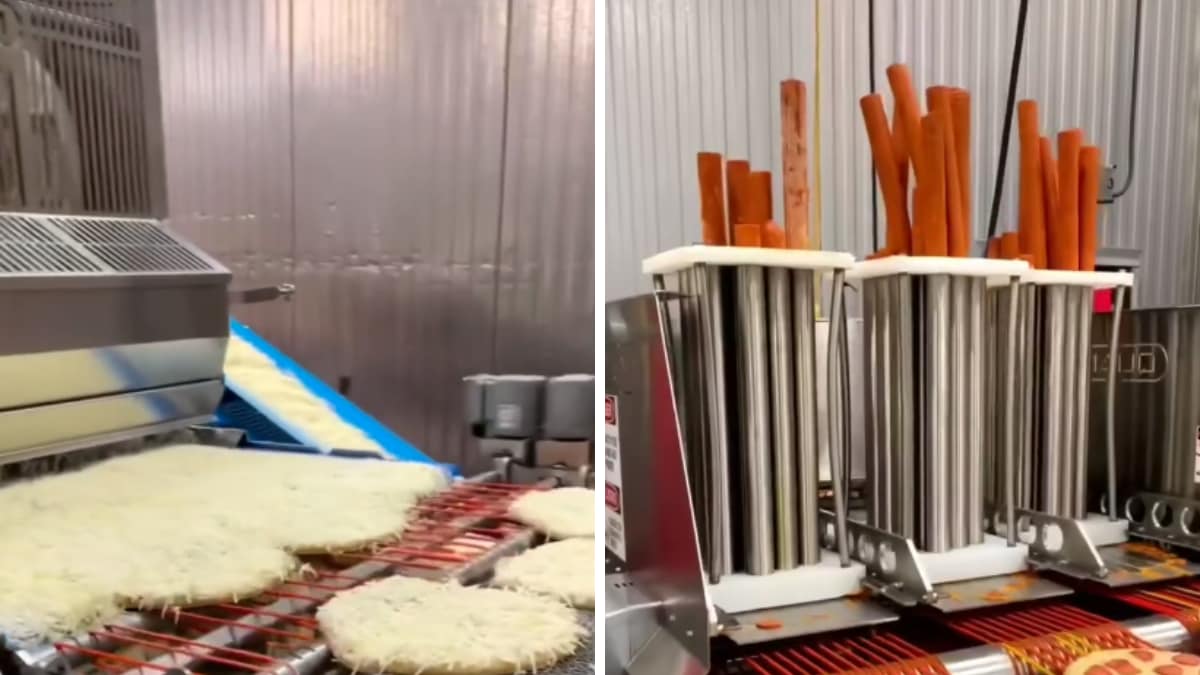 Viral Video Of Pizza-Making Process At Factory Is Making Internet ...