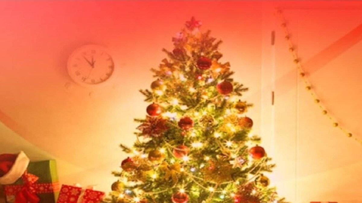 This Grandma Charges Her Family For Christmas Dinner | Viral News - News18