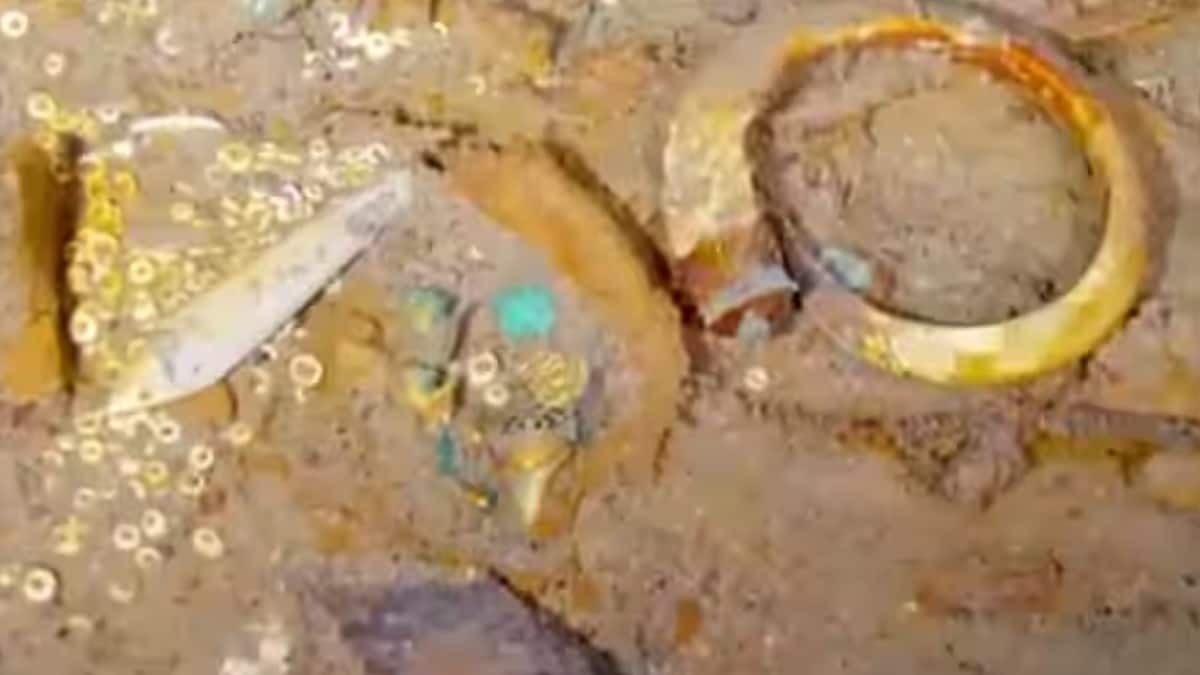 From Lost Necklace To Royal Lavatory, 5 Discoveries That Left The World ...