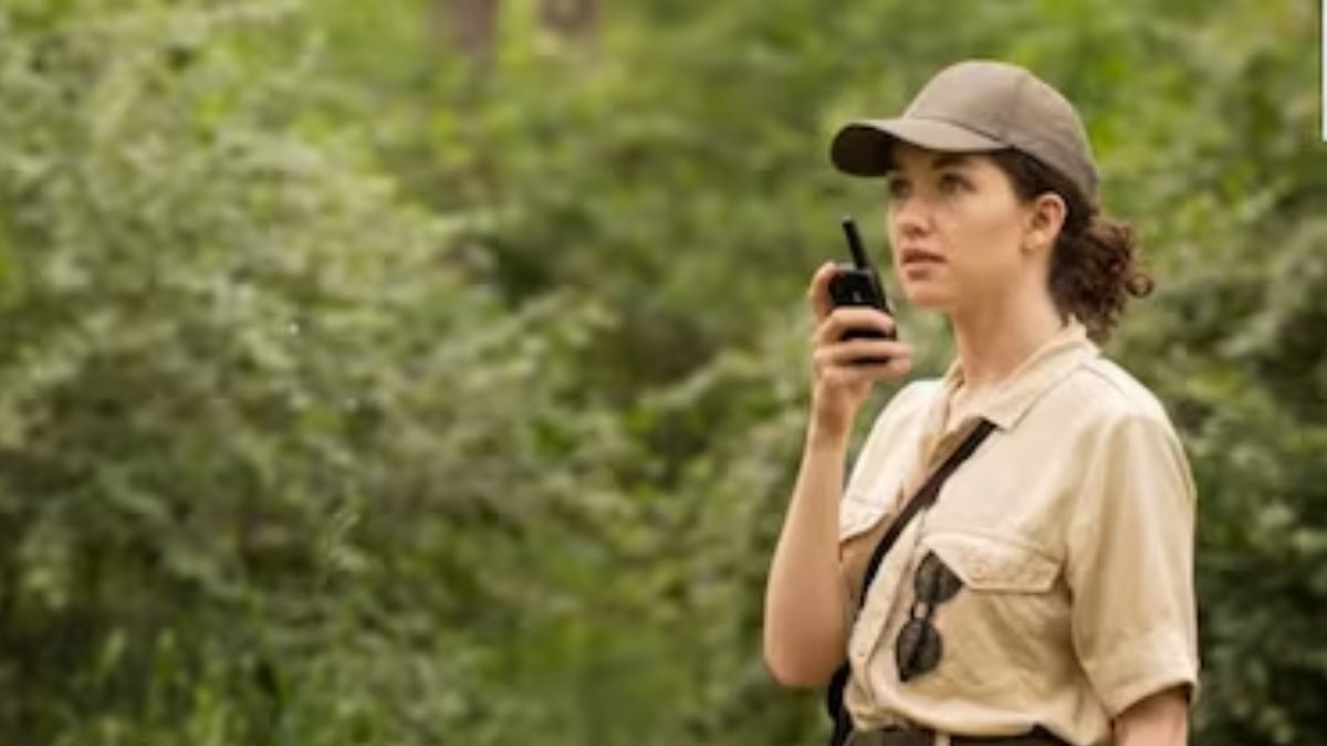 How Much Does A Range Forest Officer Make? | Education and Career News ...