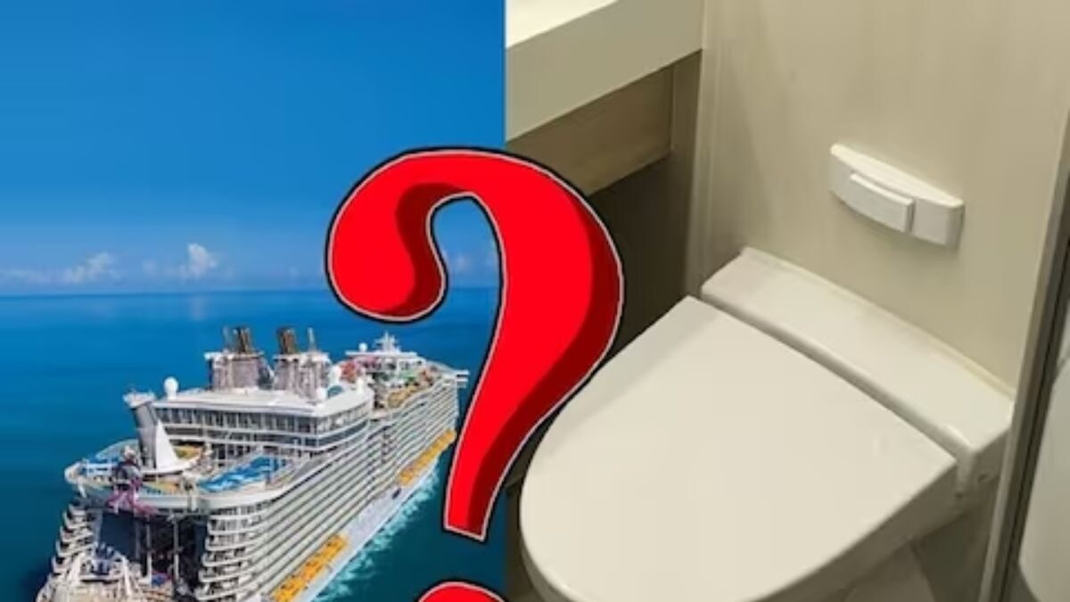 Watch: How Cruise Ships Dump Their Waste - News18