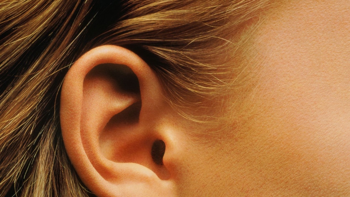 Woman’s Itchy Ear Leads To A Shocking Discovery | Viral News - News18