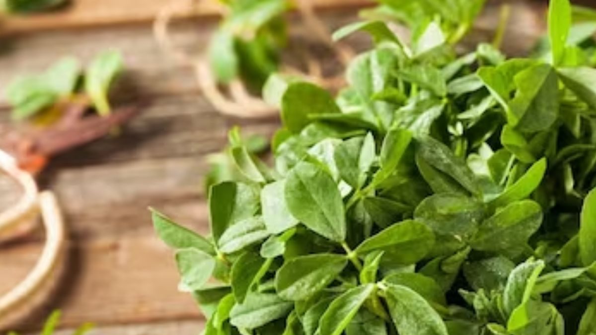 How Diabetic Patients Can Benefit By Adding Methi To Their Winter Diet ...