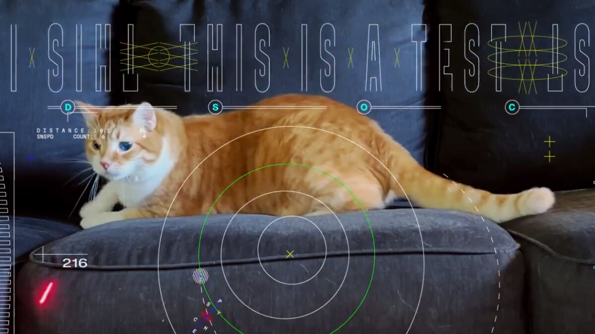 Watch: NASA Sends Cat Video from Spacecraft 31 Million Kms Away in New ...