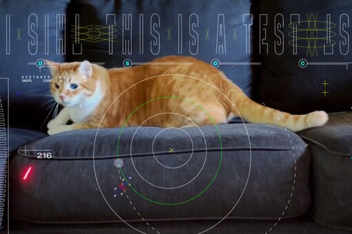 Watch: NASA Sends Cat Video from Spacecraft 31 Million Kms Away in New ...