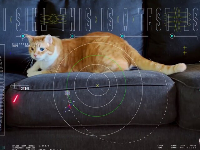 Watch: NASA Sends Cat Video from Spacecraft 31 Million Kms Away in New Tech Demo - News18