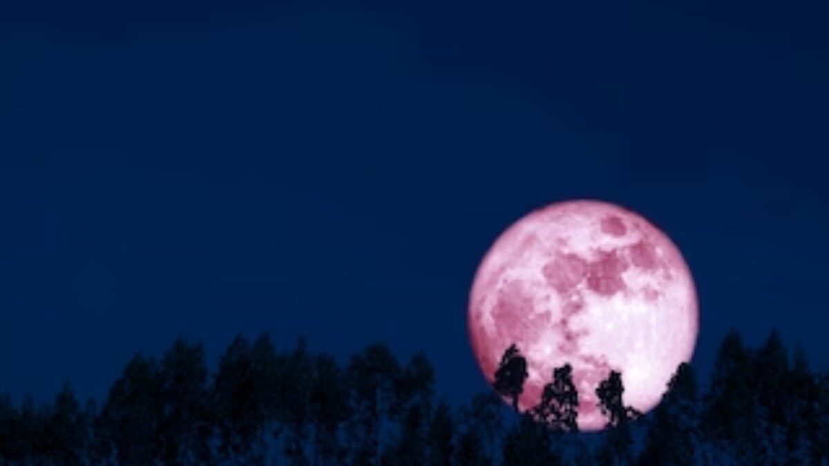 When, Where And How To Watch The Last Full Moon Of 2023 | Viral News ...