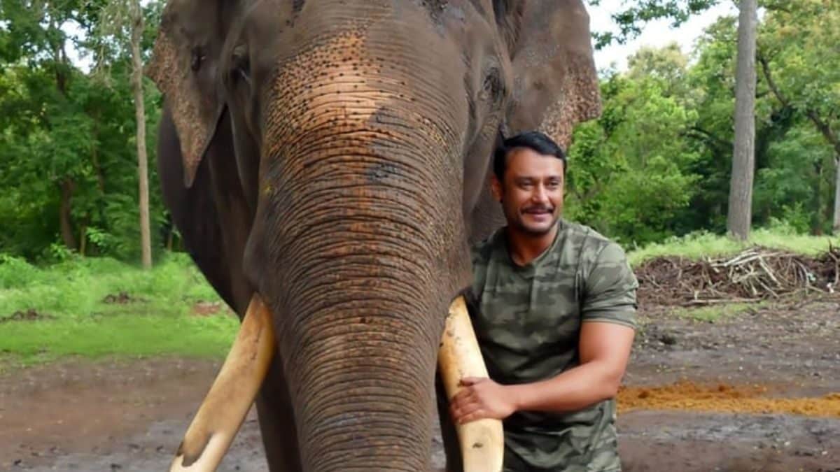 Kannada Actor Darshan's Heartwarming Post After Elephant Arjuna Dies ...