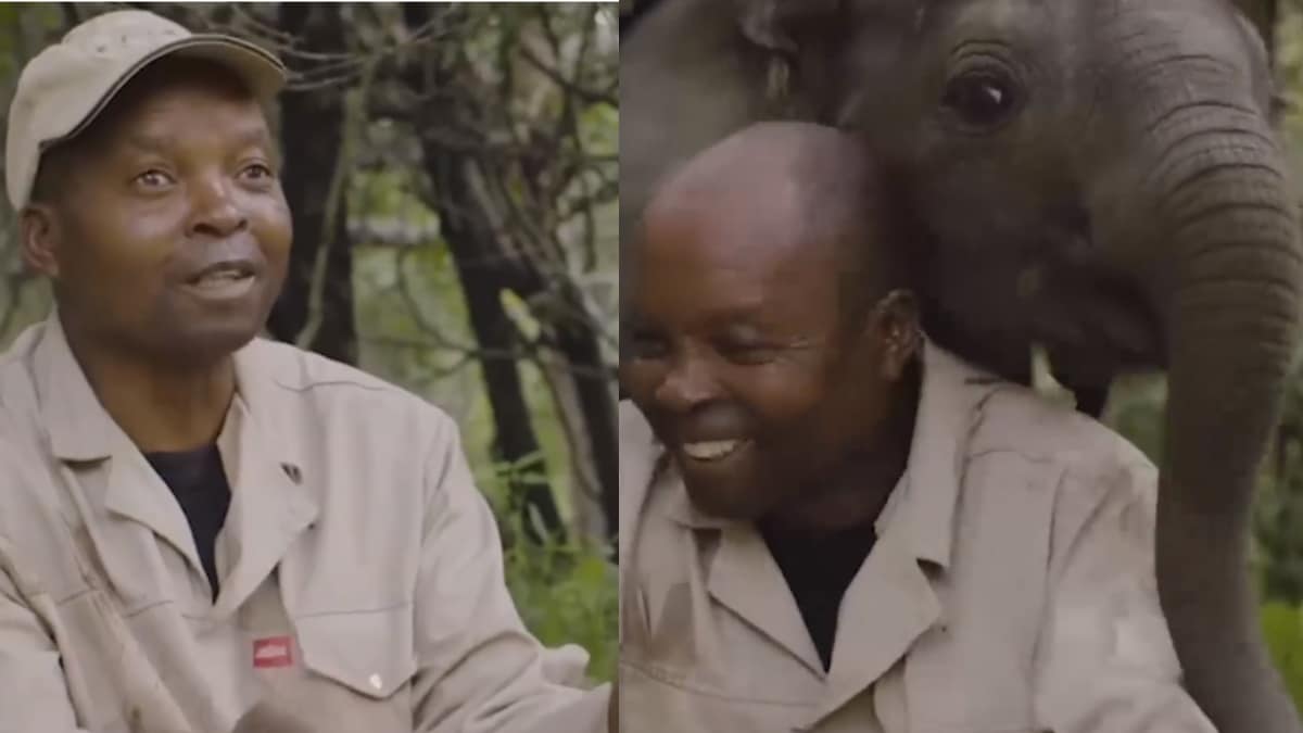 The Heartwarming Bond Between Baby Elephant And Its Caretaker Is Pure ...